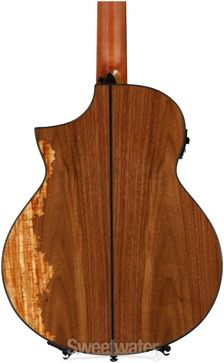 Winter NAMM 2016: Ibanez AEWB50NT