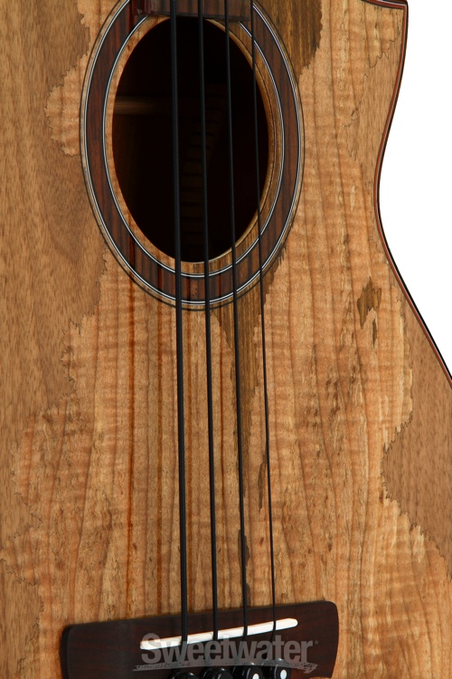 Winter NAMM 2016: Ibanez AEWB50NT