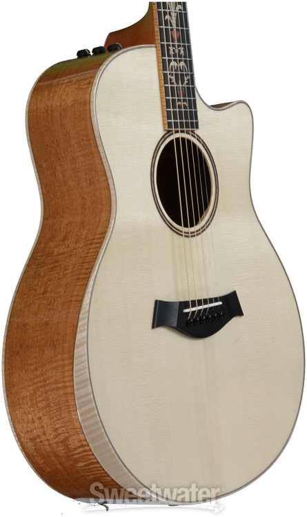 Taylor BR-III Acoustic Guitar and Amp Set - Guitar of the Day - inSync ...