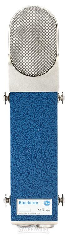 BLUE Blueberry Review - InSync