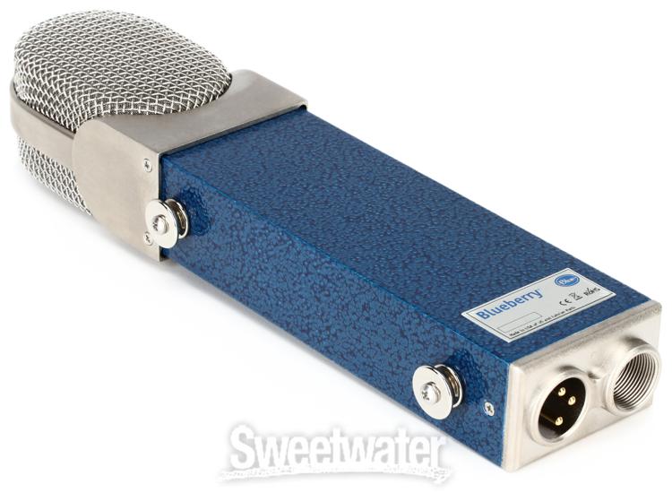 BLUE Blueberry Review - InSync