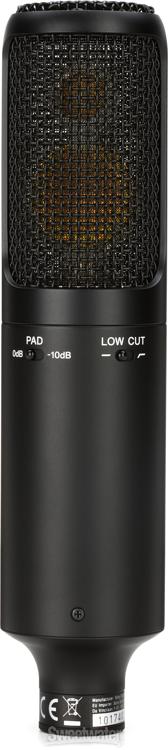 Sony C-100 Dual-diaphragm Condenser Microphone Overview - InSync