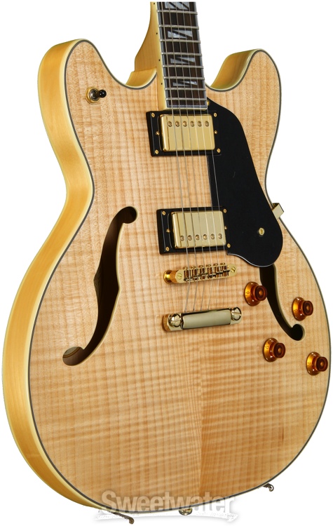 Washburn HB35 Hollowbody Electric Guitar Demo by Sweetwater Sound ...