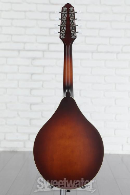 The Loar LM-110-BRB Honey Creek A-style Mandolin Demo - InSync