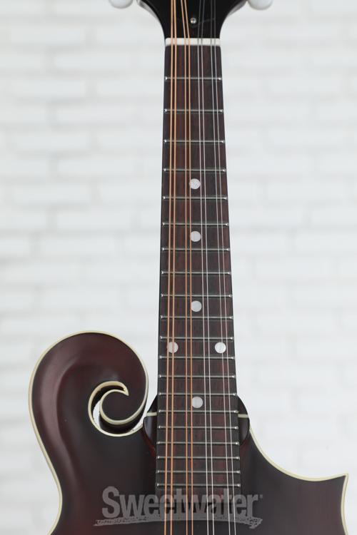 The Loar LM-310F-BRB Honey Creek F-style Mandolin Demo - InSync