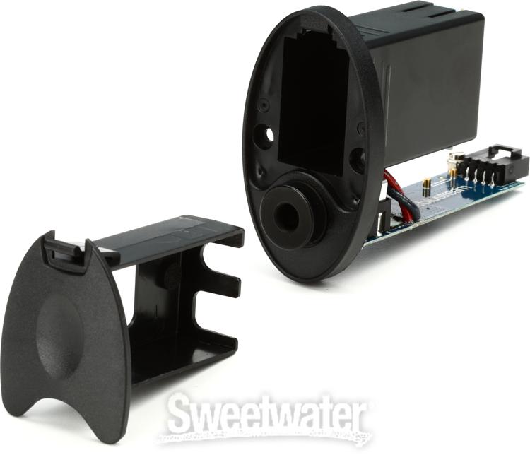 TaylorSense Remote Sensor System for Taylor Guitars Overview - InSync