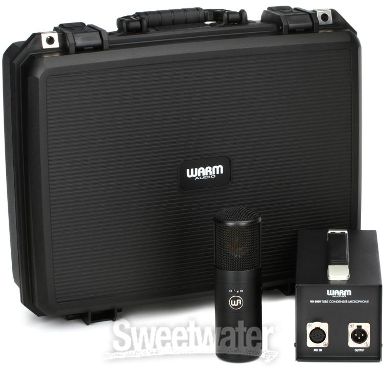 Warm Audio WA-8000 Tube Condenser Mic Demo