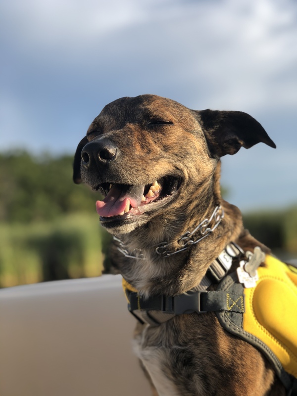 Kevin Rowan | Sweetwater