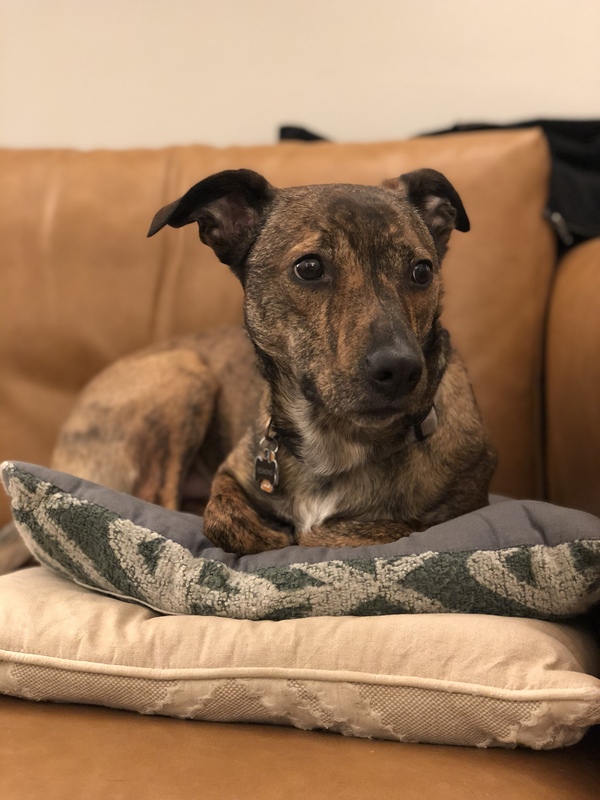 Kevin Rowan | Sweetwater