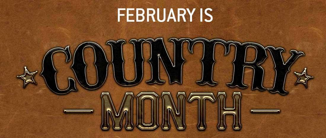 February is Country Month at Toontrack!