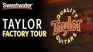 Taylor Guitars Factory Tour