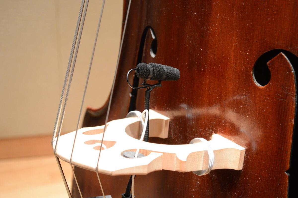 Choosing The Best Mic For Upright Bass With Sound Samples