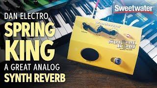 Danelectro Spring King: A Great Reverb for Synths?