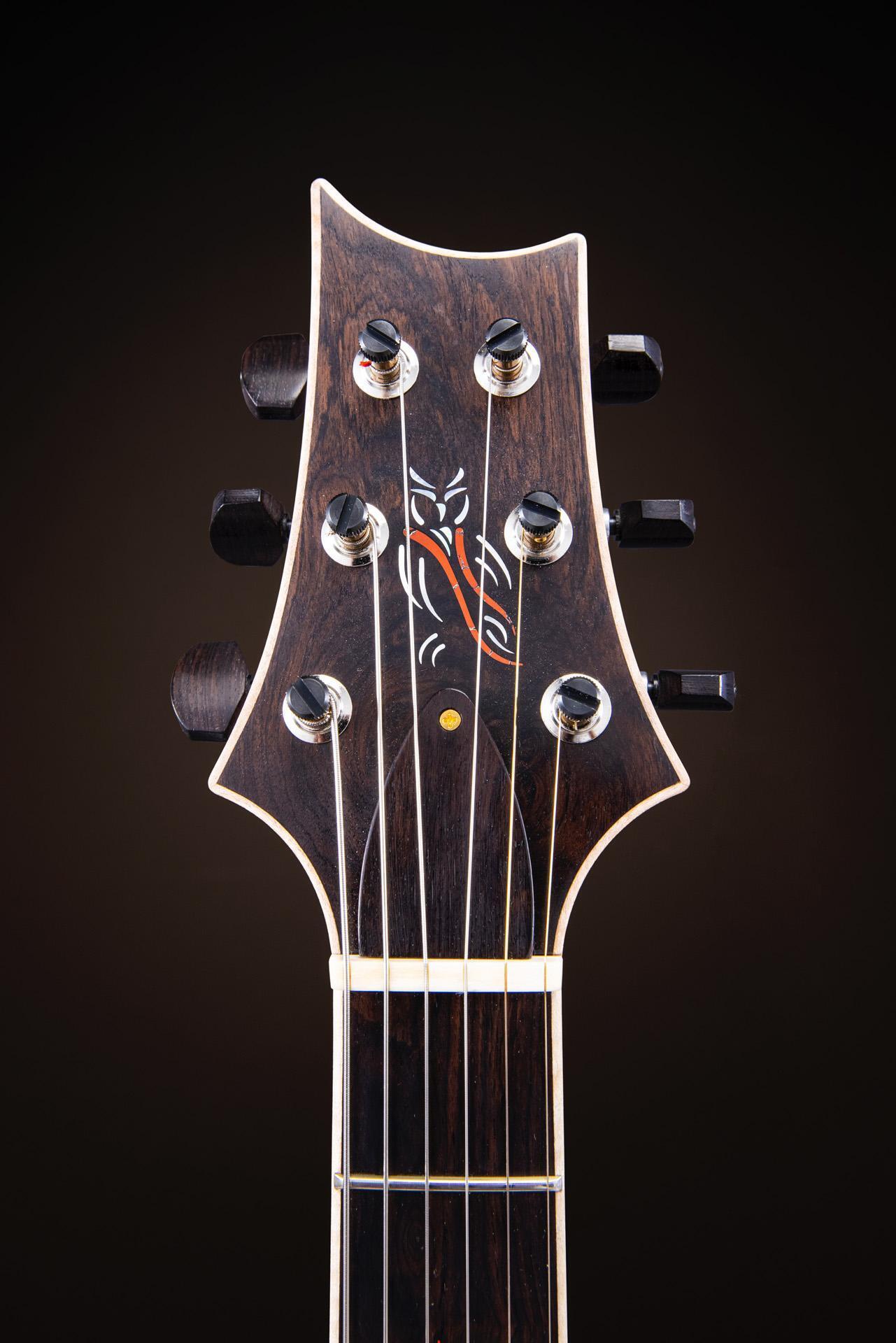 PRS Private Stock Wants to Build Your Dream Guitar