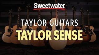 TaylorSense Remote Sensor System for Taylor Guitars Overview