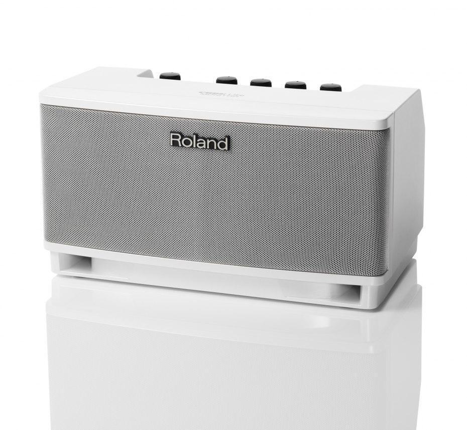 Winter NAMM 2013: Roland CUBE Lite Monitor