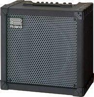 Winter NAMM 2009: Roland CUBE-80X