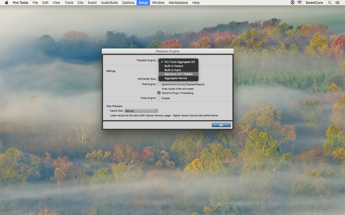 Playback Engine Selection | Sweetwater