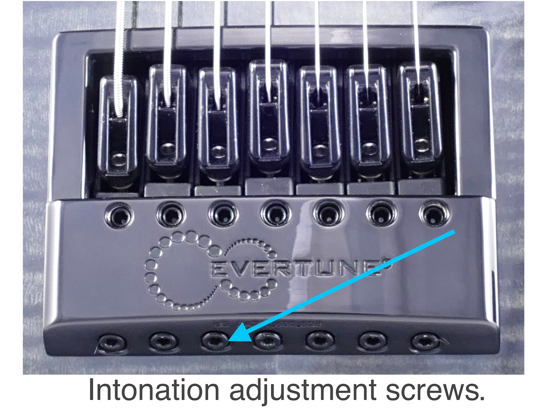 Evertune Tuning and Setup Guide | Sweetwater