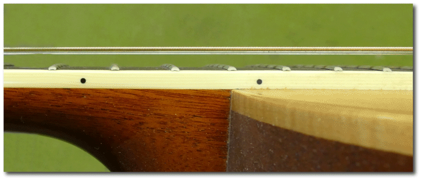 Understanding Acoustic Guitar Humidity | Sweetwater