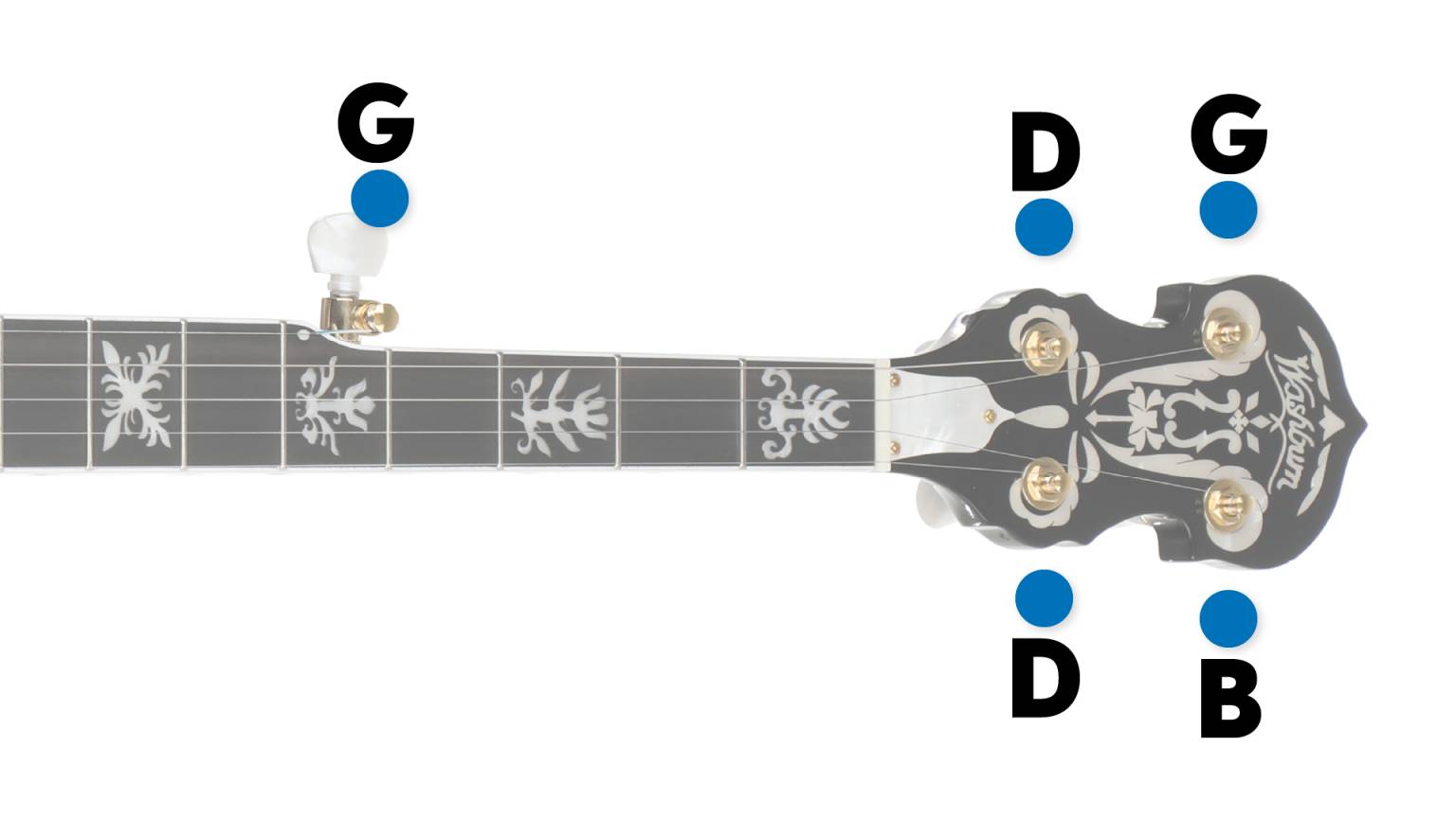Banjo Tuning Guide — How to Tune a Banjo | Sweetwater