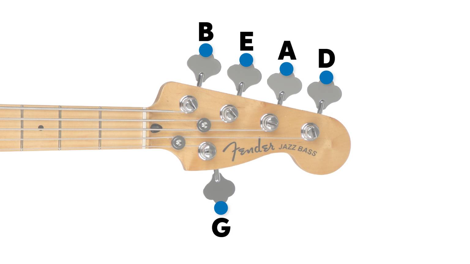 Bass Guitar Tuning Guide – How to Tune Bass Guitars | Sweetwater