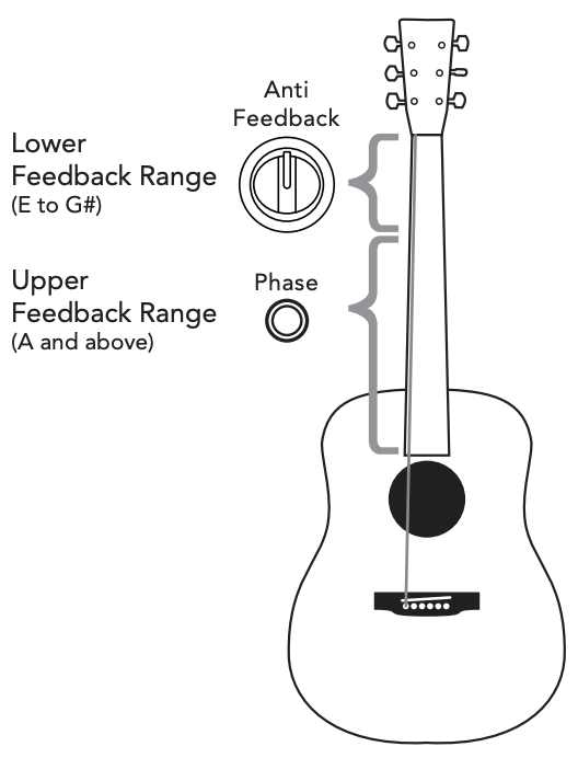 Fishman Loudbox Quickstart Guide | Sweetwater