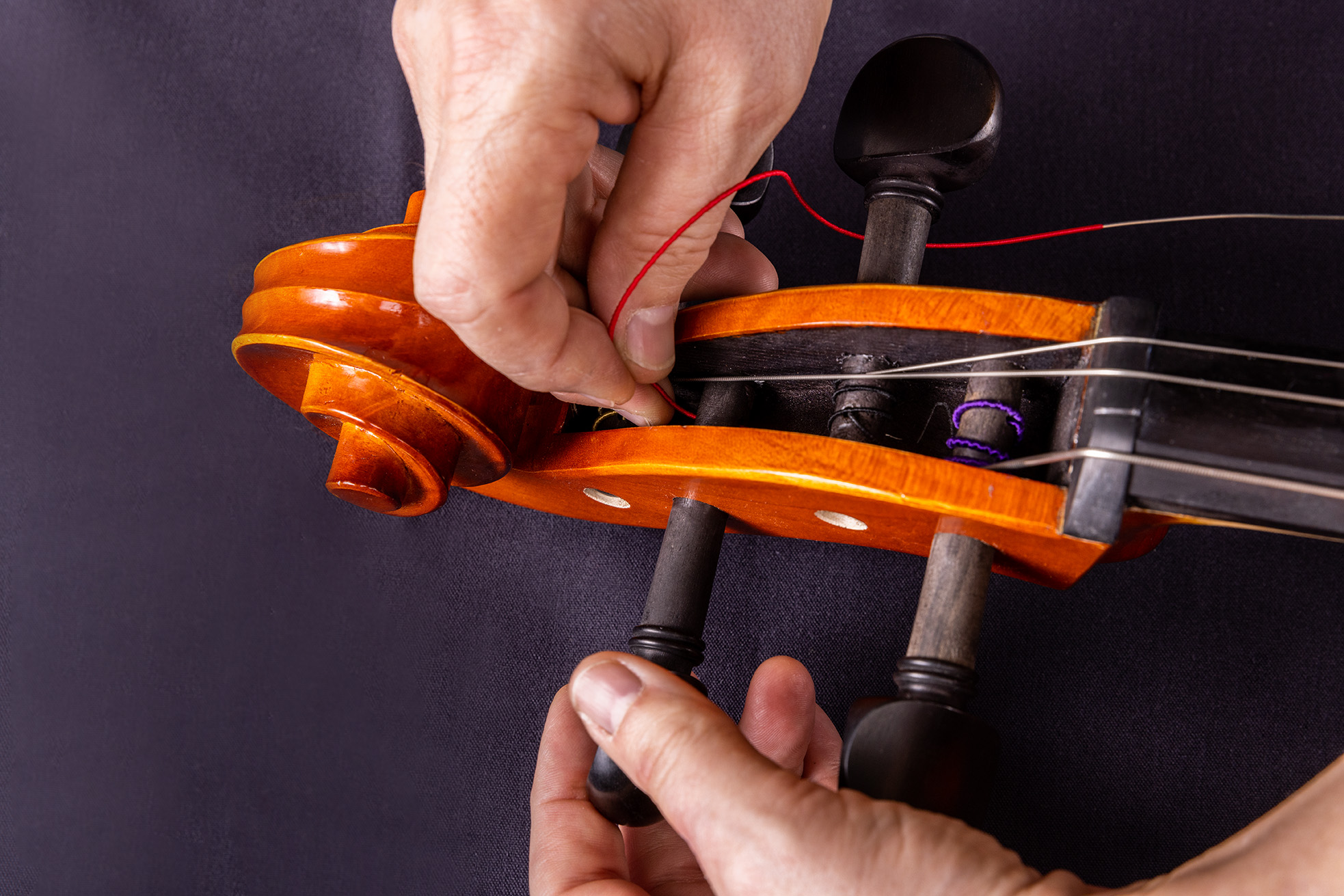 Cello Care and Maintenance Guide | Sweetwater