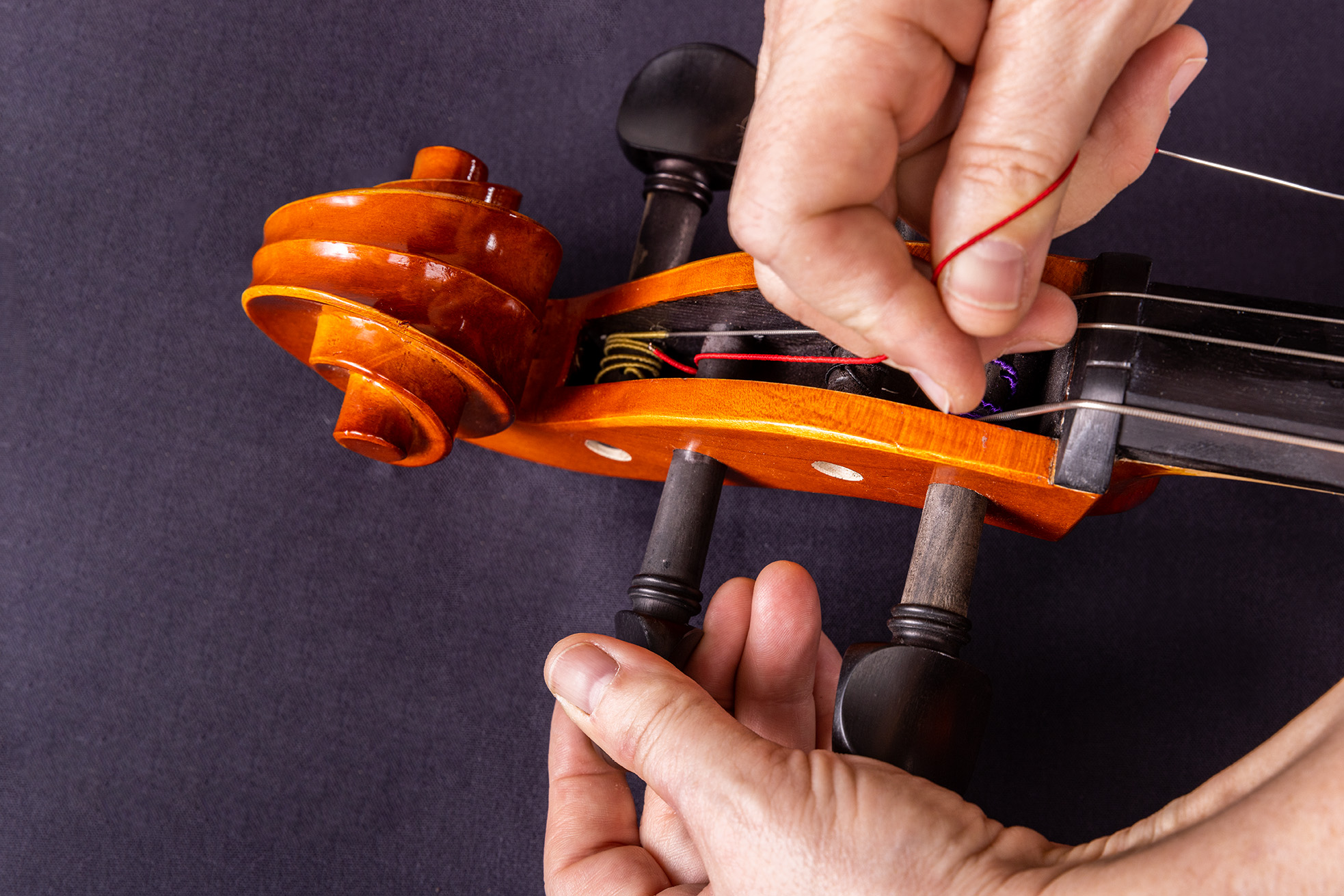 Cello Care and Maintenance Guide | Sweetwater