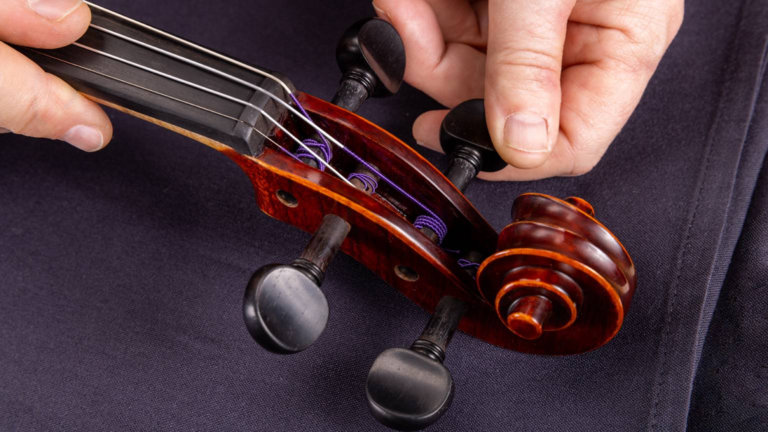 Violin and Viola Care and Maintenance Guide | Sweetwater