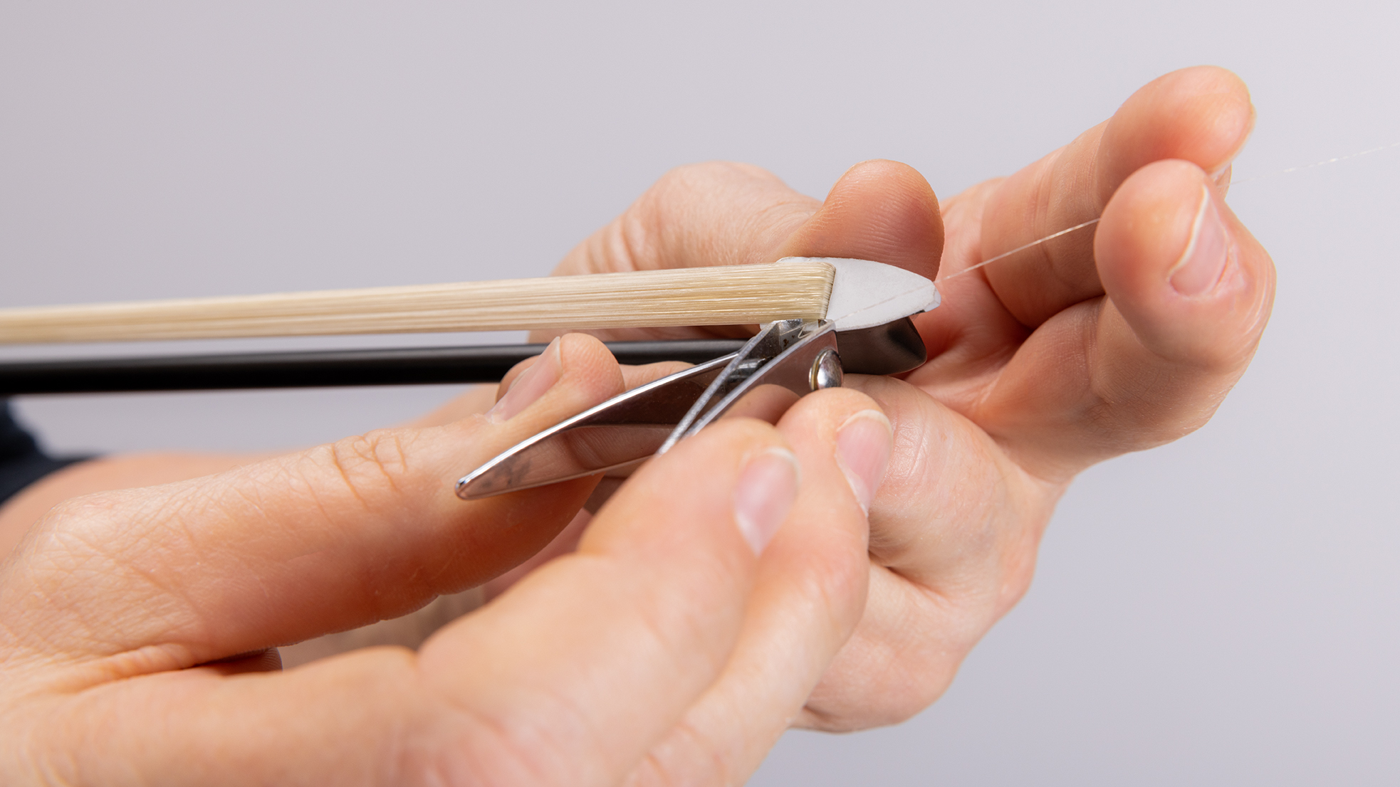 Violin and Viola Care and Maintenance Guide | Sweetwater