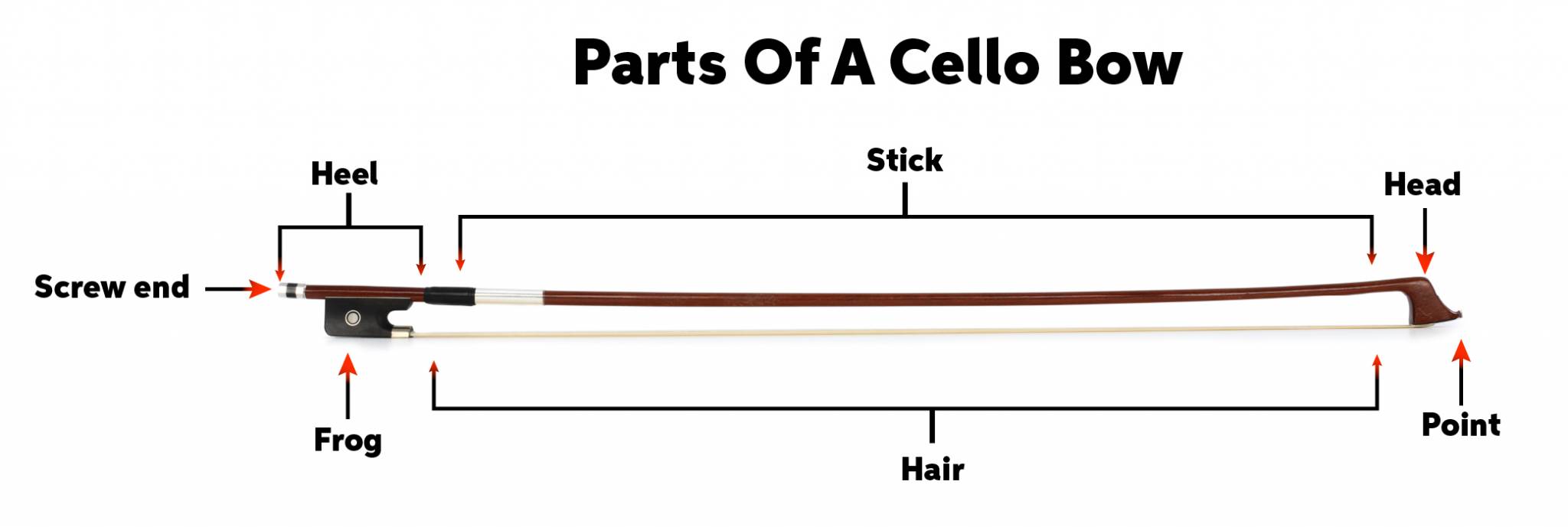 Cello Quickstart Guide | Sweetwater