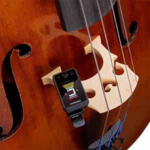 Cello Quickstart Guide | Sweetwater