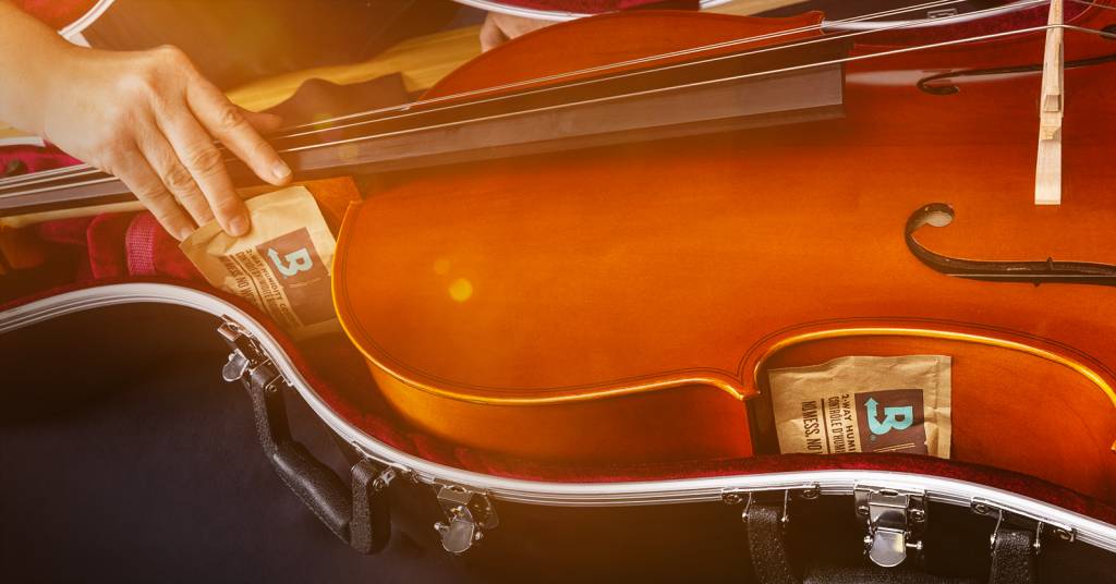 Cello Care and Maintenance Guide | Sweetwater