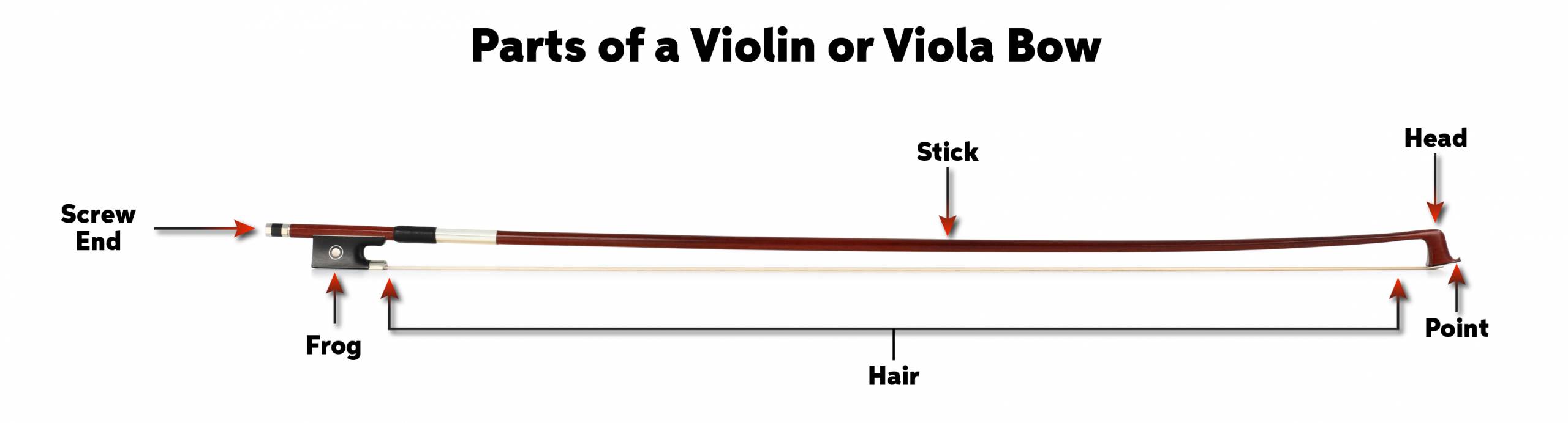 Violin and Viola Quickstart Guide | Sweetwater