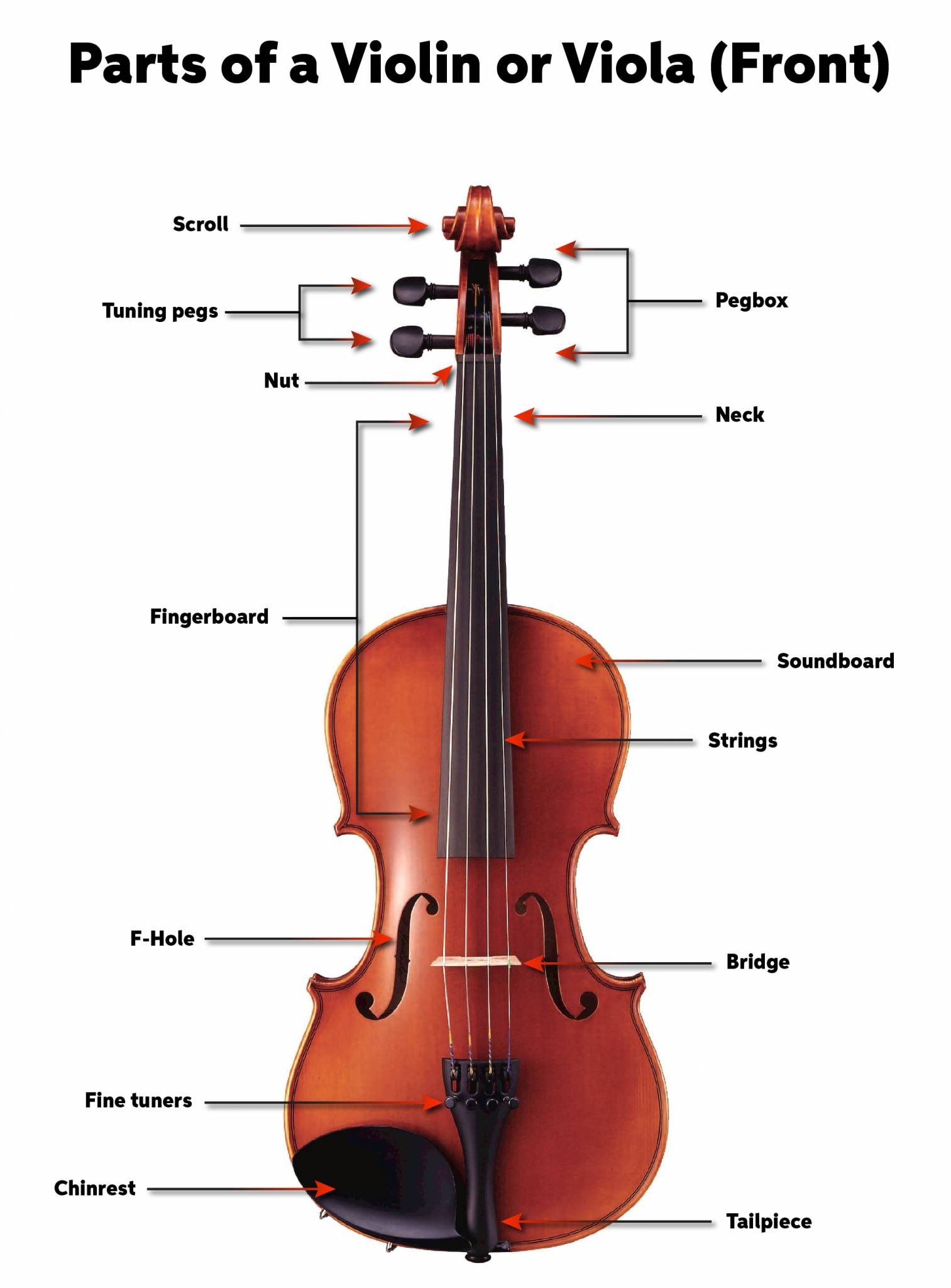 Violin and Viola Quickstart Guide | Sweetwater