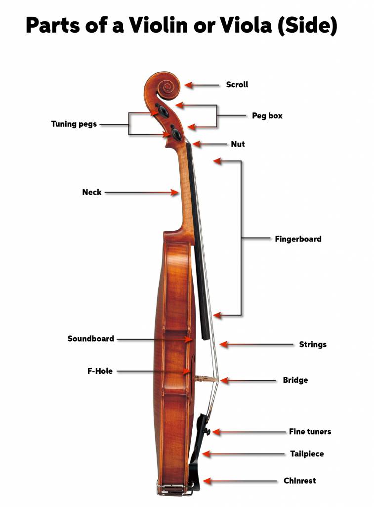 Violin and Viola Quickstart Guide | Sweetwater