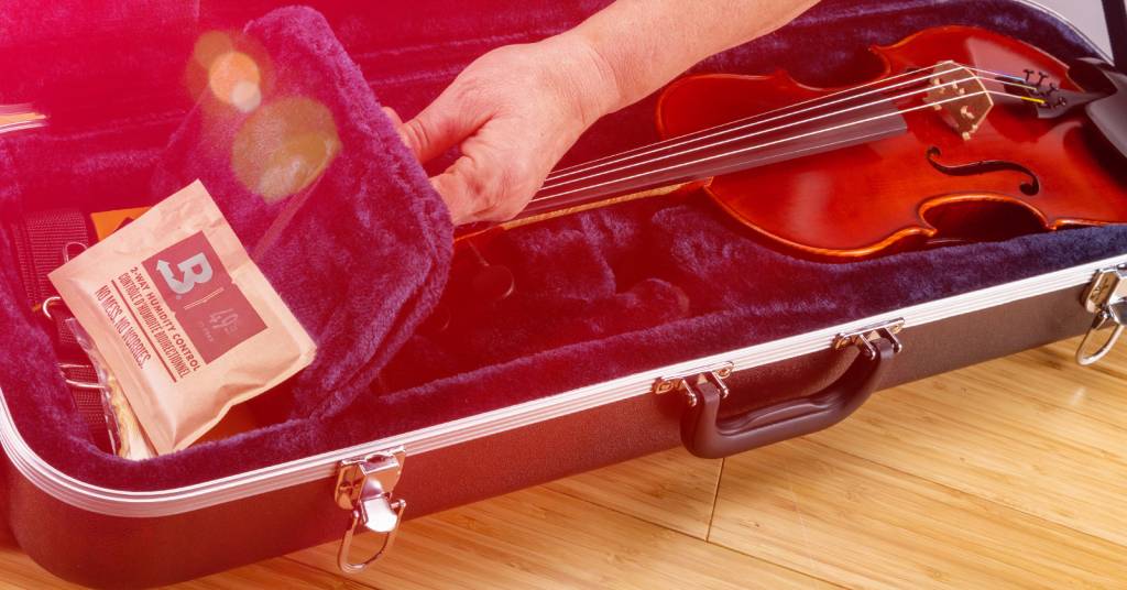 Violin and Viola Care and Maintenance Guide | Sweetwater