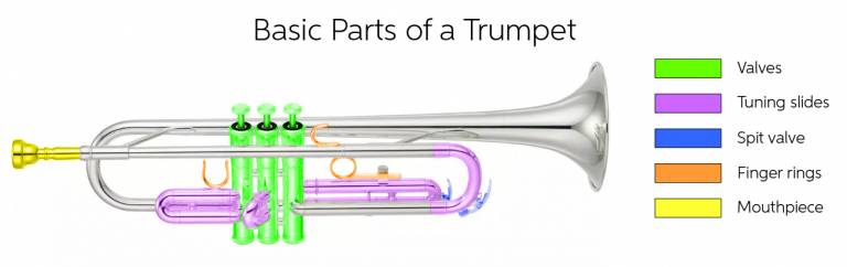 Trumpet Quickstart Guide | Sweetwater