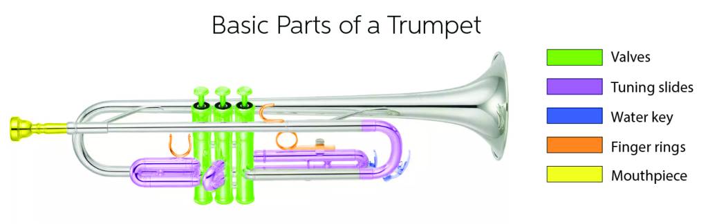 Trumpet Quickstart Guide | Sweetwater