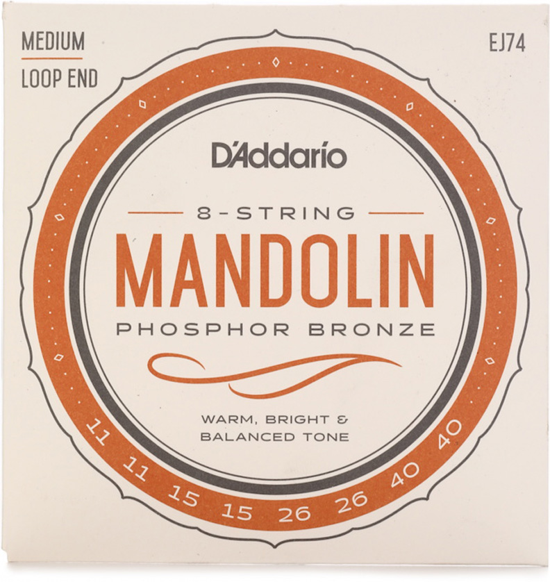 Mandolin Care and Maintenance Guide | Sweetwater