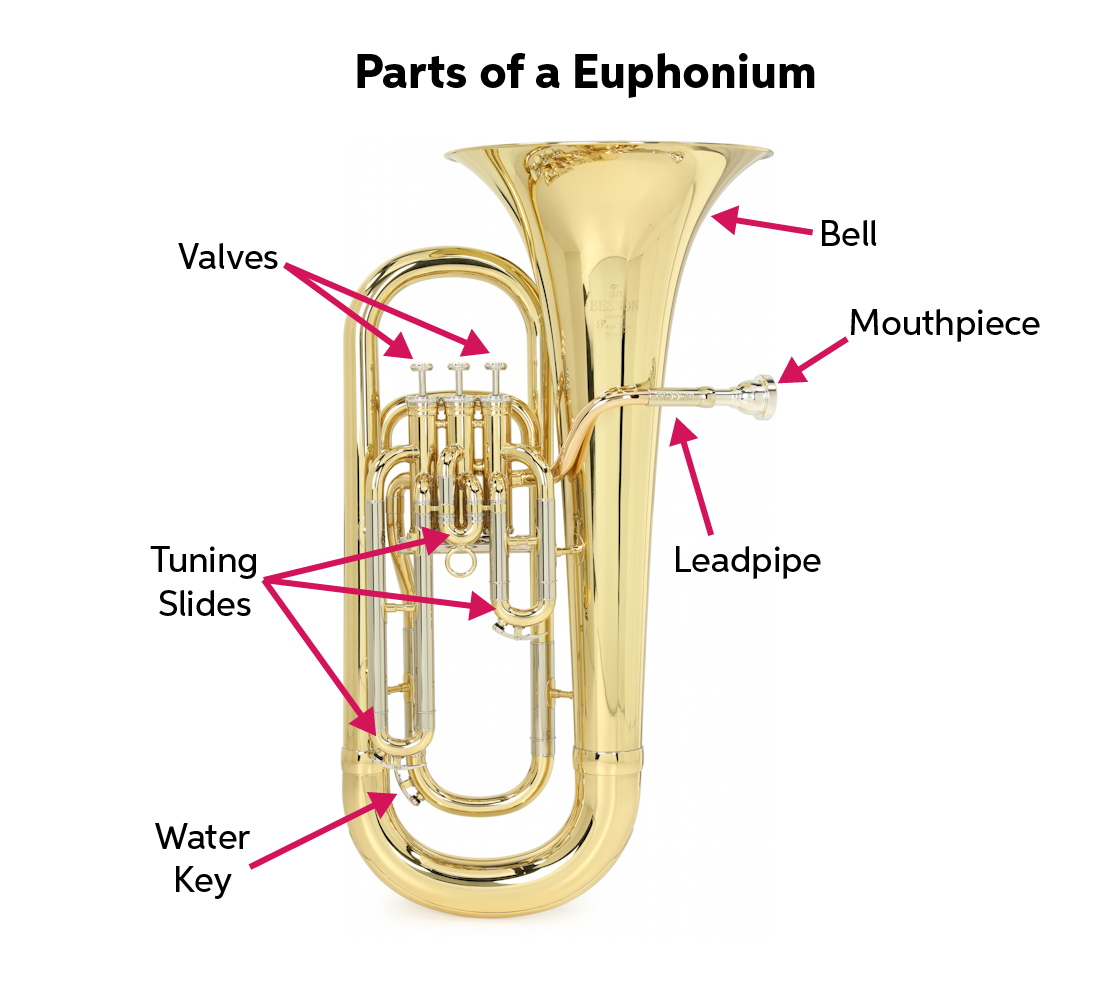 Euphonium Diagram Euphonium Vector Images (over 100)