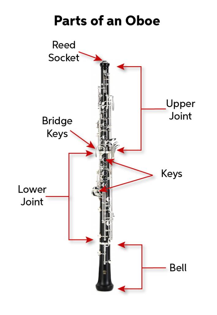 Oboe Quickstart Guide | Sweetwater